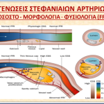 Η ΟΣΤΕΟΠΟΡΩΣΗ ΚΑΙ Η ΛΗΨΗ ΣΥΜΠΛΗΡΩΜΑΤΩΝ ΑΣΒΕΣΤΙΟΥ | Καρδιολογία